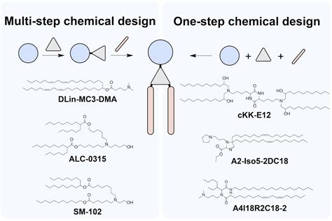 Lipid Struktur Lipids Definition Structure Properties