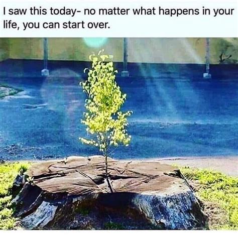 Womens Growth Institute Added Womens Growth Institute