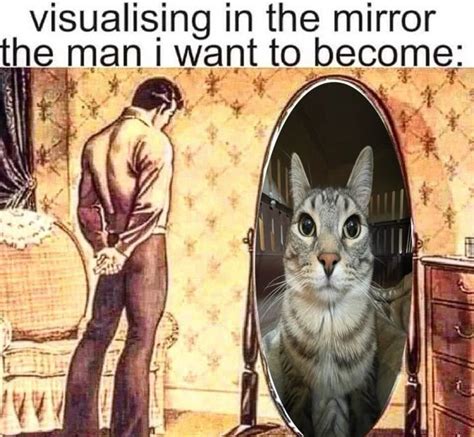 Visualising In The Mirror The Man I Want To Become Cat Memes Silly