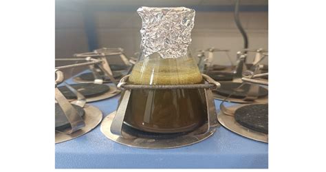 Prepared Neem Leaf Extract Download Scientific Diagram