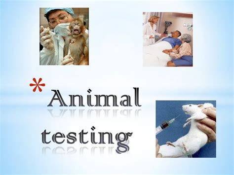 Animal Testing Presentation Pptx Pets