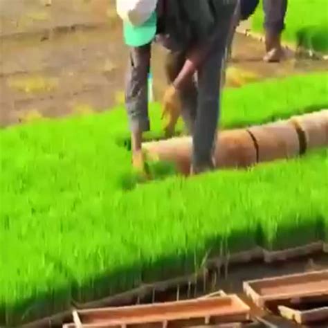 Sneha Nayak On Linkedin Wow 😍