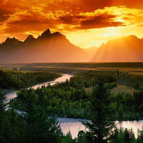 Dillard Patton Youtube