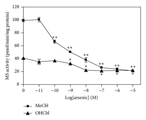 Metal Ions And Thimerosal Inhibit Ms Activity And Decrease Levels Of