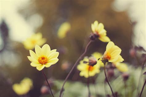 4147 Squirrelsid — Livejournal