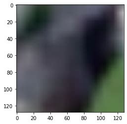 Albumentations With PyTorch For Image Data Augmentation Snippets