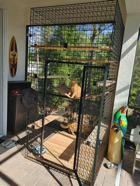 Catio Outdoor Cat Enclosures Cat Runs By Habitat Haven