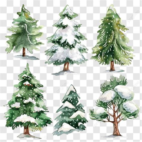Crystal Arboreal Captivating Ice Trees In Nature Ce Covered Landscape