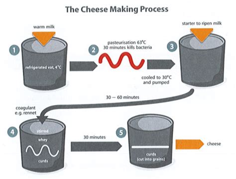 Band 4 The Diagram Below Shows The Process Of Making Cheese Summarise