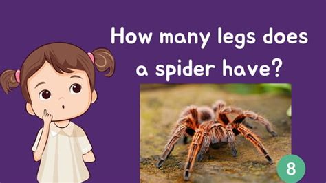 Declarative Interrogative Pronouns For Gradeschool Ppt Declarative Interrogative Pronouns For Gradeschool Ppt