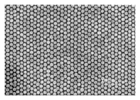A Sem Image Of A 15 Tdin² L P 223 Nm Pillar Tone Dots Array