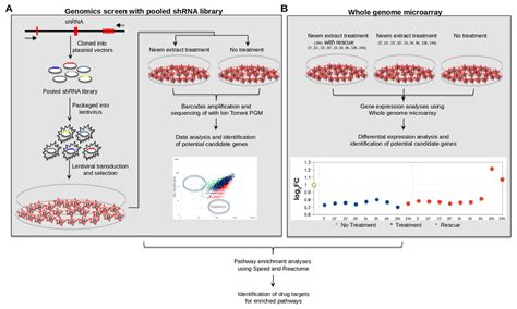 Functional Genomics Screen With Pooled ShRNA Library And Gene Expression Profiling With Extracts