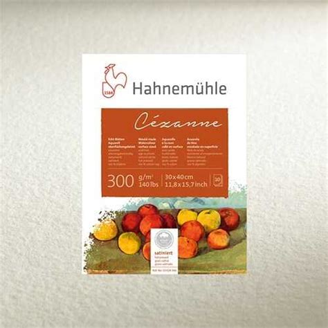 Hahnemühle Cezanne Rough Suluboya Kağıdı 300 gr. 1,25x10 metre Rulo ...