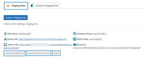 How To Create A Staging Site For A Wordpress Multisite Network With
