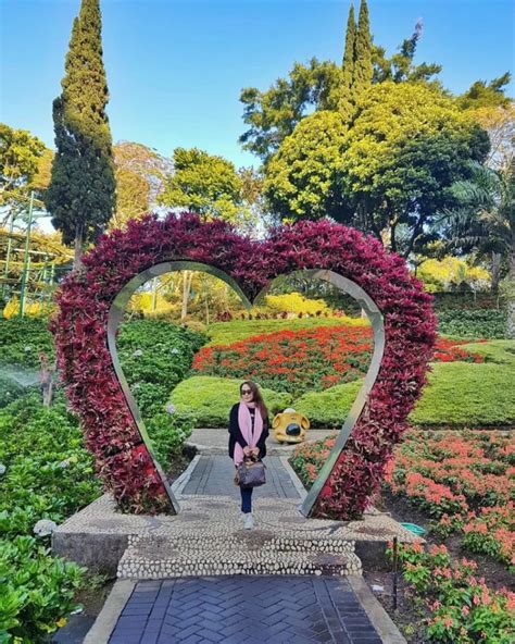 15 Wisata Taman Bunga Di Indonesia Yang Membuatmu Serasa Di Luar Negeri