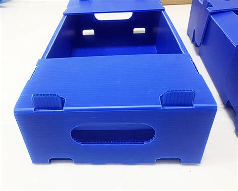 Custom Pp Packaging Boxes For Fruit And Vegetable Polyflute®
