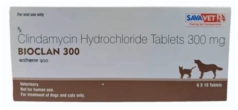 Bioclan 300mg Clindamycin Cap At ₹ 160stripe Anand Nagar Nagpur