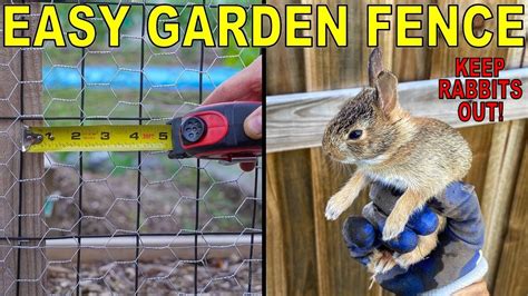 Your Garden Fortress How To Keep Animals Out For Good Openlearningblog