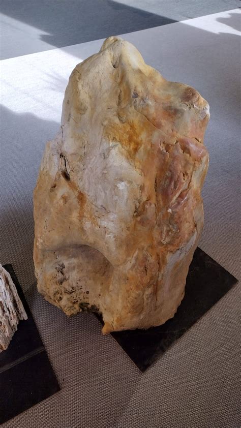 Skamielina 35027 Stylowe Kamienie