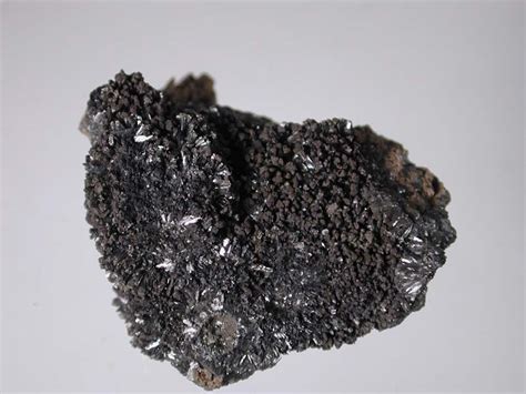 Ramsdellite D Joyce Minerals