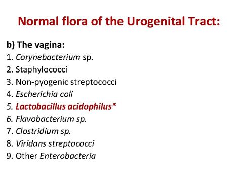 Microbial Flora Of Human Body Normal Flora Normal