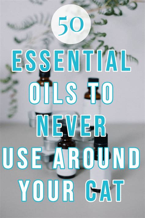 Are Essential Oils Safe For Cats 50 Essential Oils To Avoid