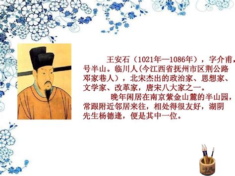 书湖阴先生壁word文档在线阅读与下载无忧文档