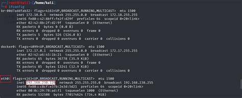 Kali中安装docker并搭建靶场（新手）kali搭建dvwa靶场 Csdn博客