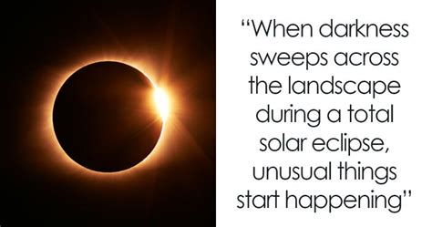 Scientists Officials And Military Are Issuing Major Warnings Ahead Of The Solar Eclipse