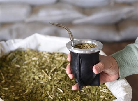 Yerba Mate Und Nachhaltigkeit Ein Ganzheitlicher Ansatz Lnrho