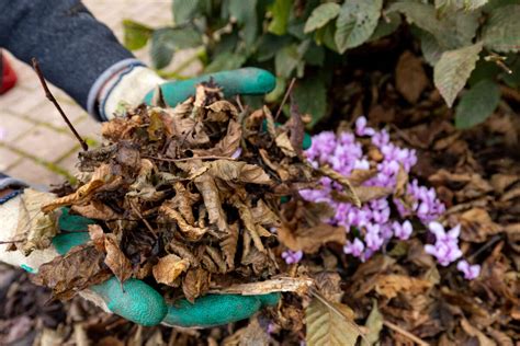 Garden Organic Composting Hints And Tips