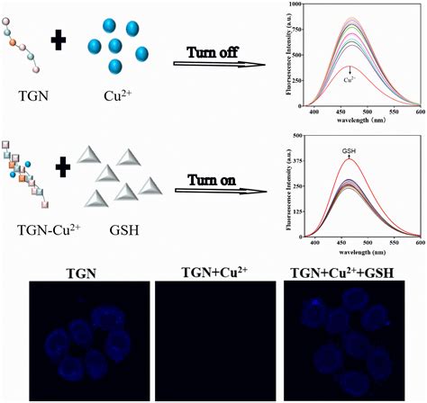 Luminescence Vol 39 No 1