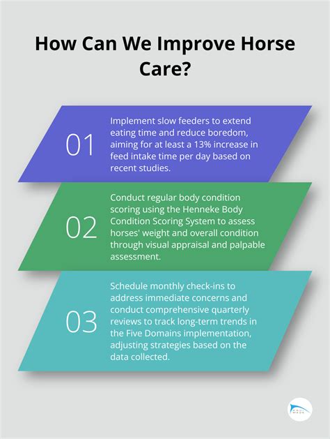 Integrating The Five Domains Framework Equimade