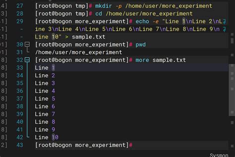 Linux 入门到精通，真的不用背命令！零基础小白靠「场景化学习法」，3 个月拿下运维 Offer，第四天 Csdn博客