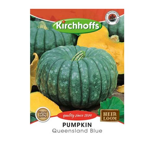 Pumpkin Queensland Blue Kirchhoff Seeds Honey Bee Online
