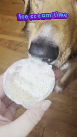 Ice Cream Ice Cream Time  Ice Cream Ice Cream Time Rowan
