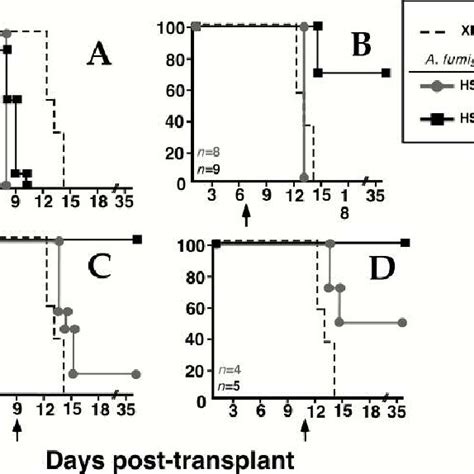 Survival Analysis Of Hsc And Hsc Cmp Gmp Transplanted Mice Against