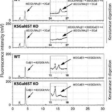 Ks Analysis In Ksgal6st Deficient Mice Reversed Phase Ion Pair