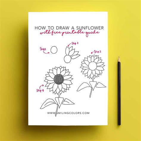 How To Draw A Sunflower