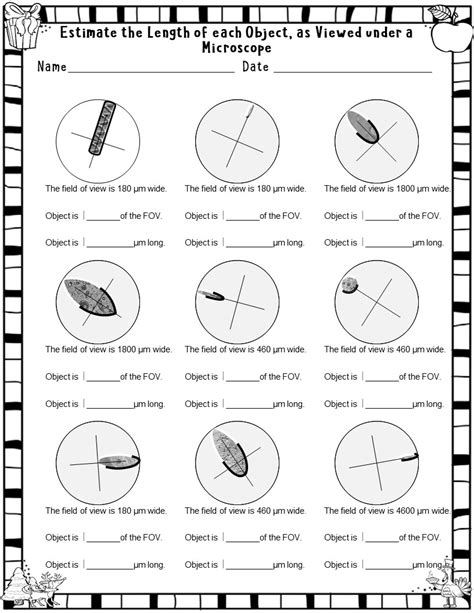 Find The Length And Fov Of Each Object Viewed Under The Microscope