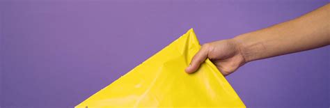 客製化系統開發 System Development