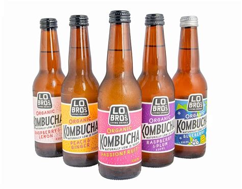 Kombucha Lo Bros