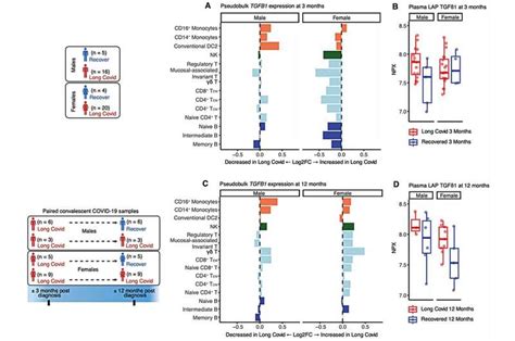 Molecular And Cellular Level Research Shows A Sharp Sex Divide For Long