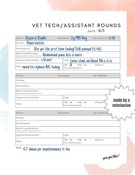 Vet Tech Rvt Lvt Assistant Patient Rounding Rounds Form Er Veterinary Hospital Summary Etsy