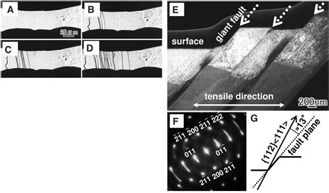 Multifunctional Alloys Obtained Via A Dislocation Free Plastic
