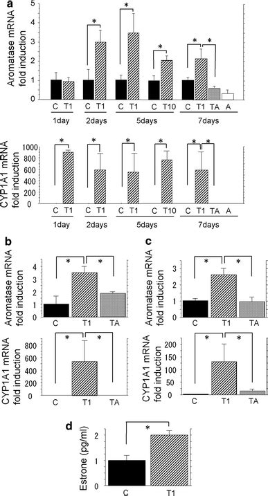 Tcdd Induced Aromatase Expression In Breast Cancer Cell Lines A Mcf 7