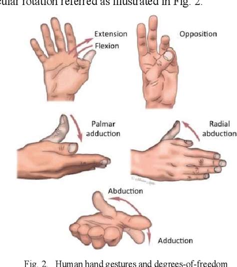Figure 2 From Design And Construction Of An Artificial Thumb Prosthetics Controlled By Index