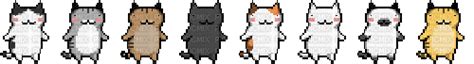 Cats Divider Cats Cat Kitty Kittens Free Animated  Picmix