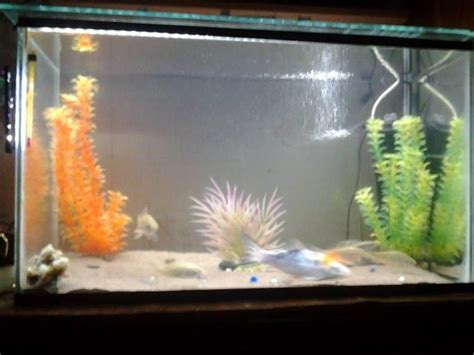 Smart Aquarium Arduino проекты