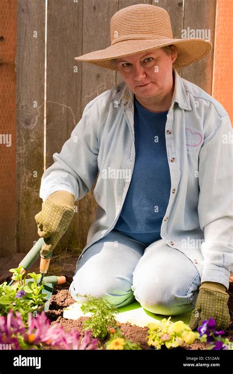 Mature Woman Gardening In Backyard Planting Flowers And Plants Stock